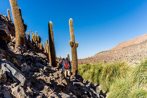 Chile Tours: Trekking em Guatin 4 horas Viagens e Turismo